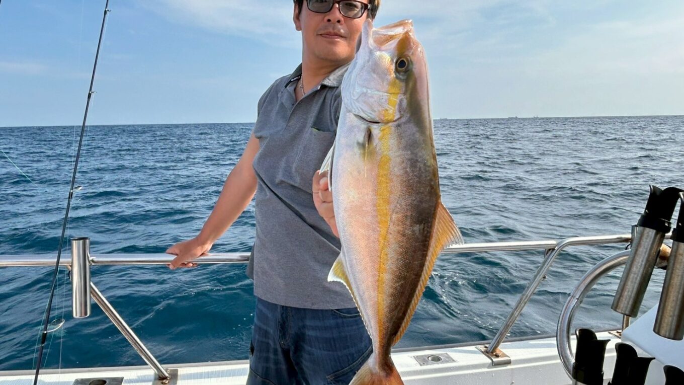 SLJ×乗合×午後便｜SEATAC 和歌山 御坊 釣り船 タイラバ ジギング 午後便