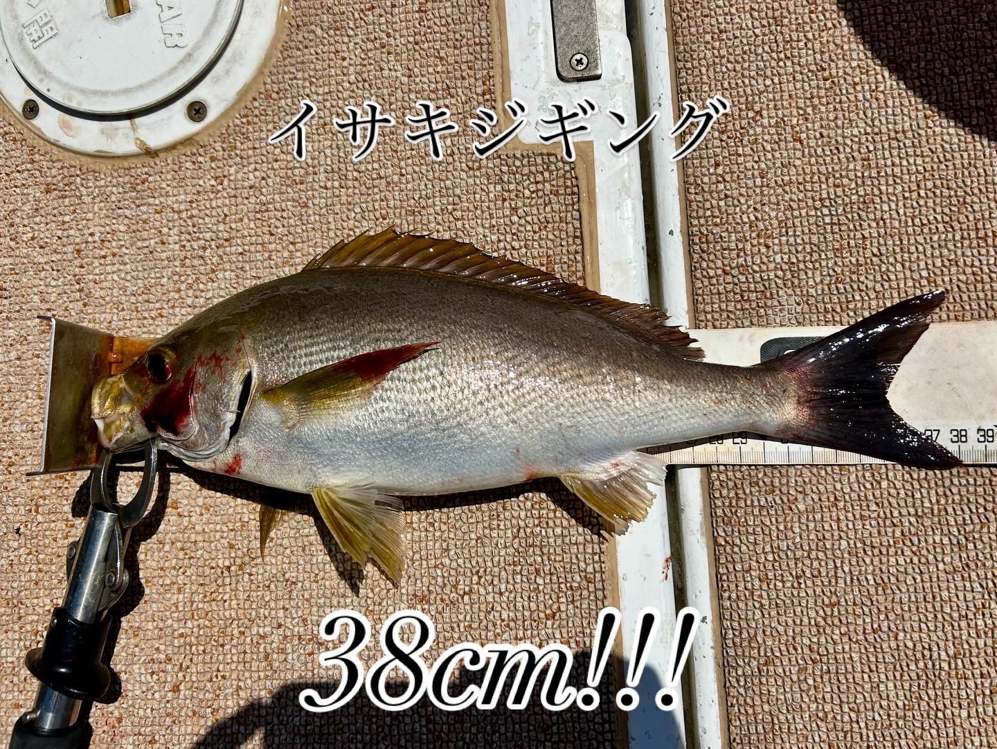 SLJ×乗り合い｜SEATAC 和歌山 御坊 釣り船 タイラバ ジギング 午後便